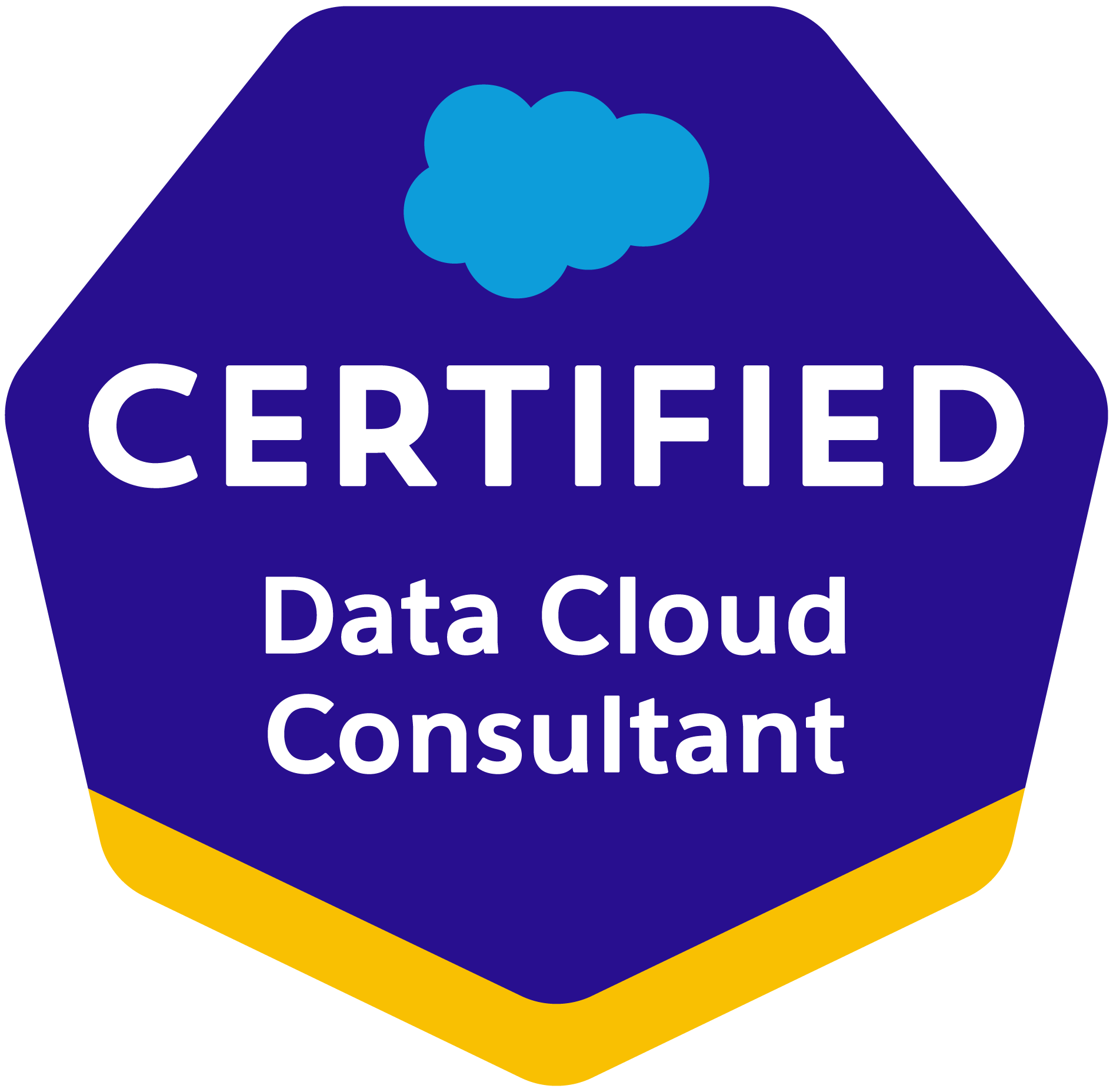 Salesforce Consultant | Coastal Cloud